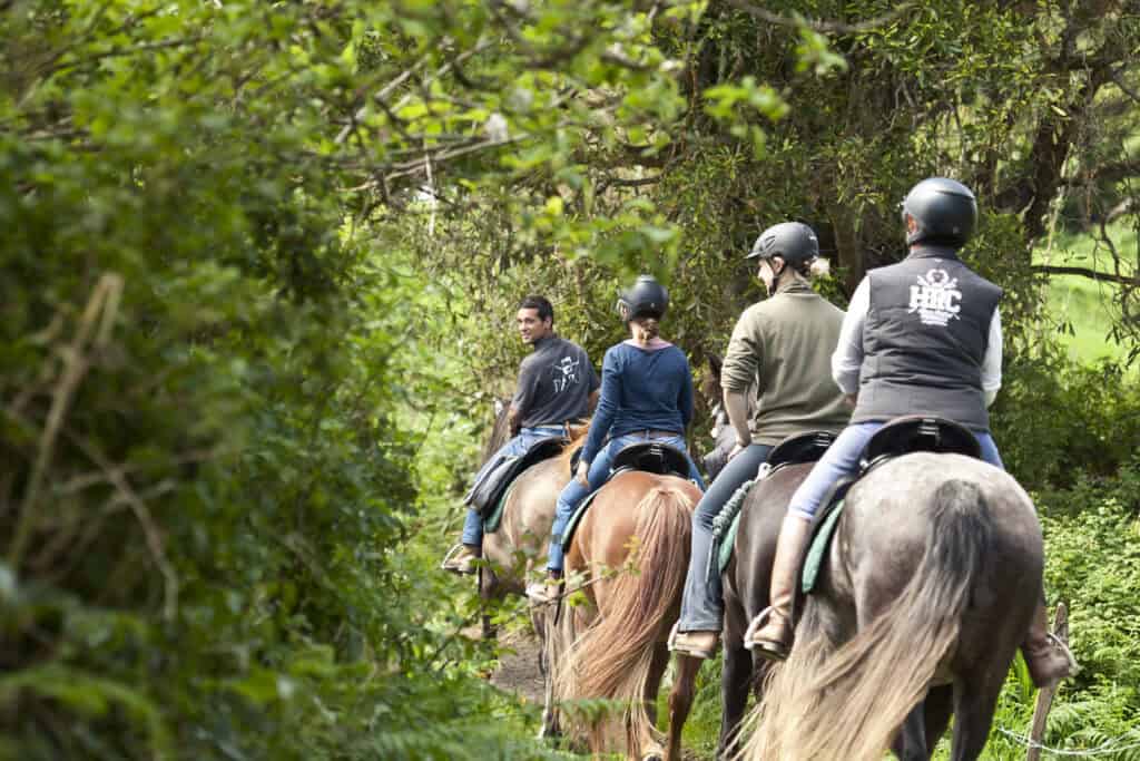 Horse Riding - Azores