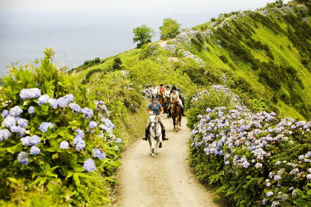 Horse Riding - Azores