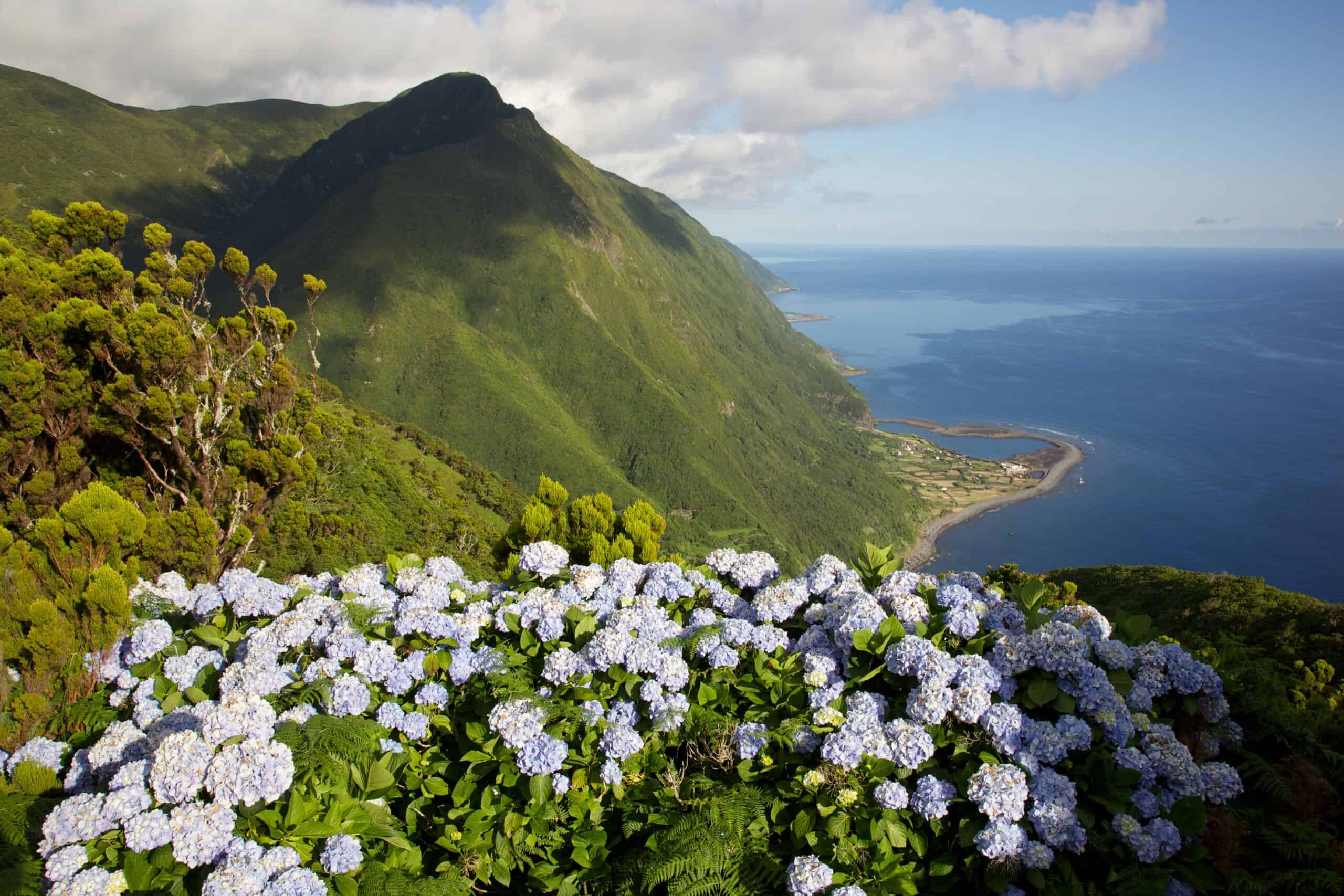 Sao Jorge - Azores