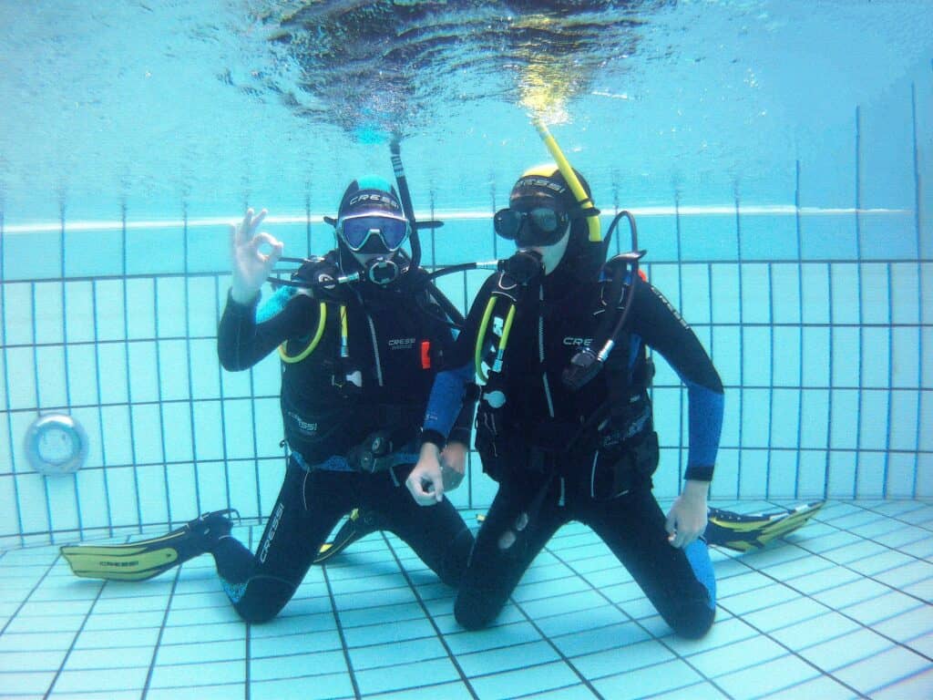 Diving in the Azores - Azores